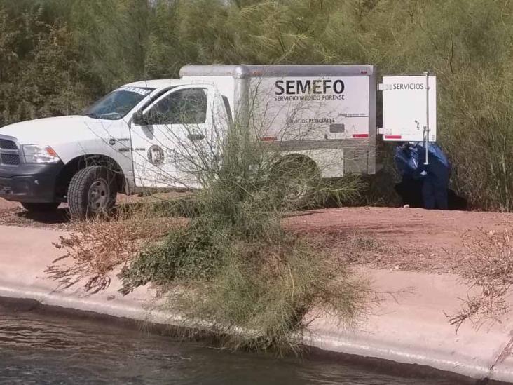 Diario del Yaqui - Identifican a hombre ejecutado en Valle del Yaqui Diario del Yaqui - Identifican a hombre ejecutado en Valle del Yaqui