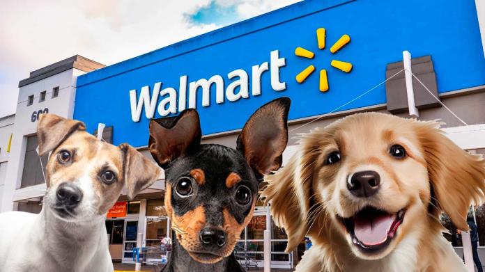 Walmart Permite Perros