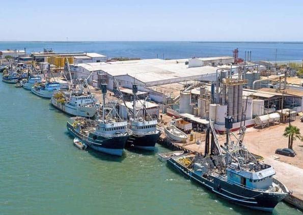 Diario del Yaqui - El Niño provoca la caída en un 50% de la producción ... Diario del Yaqui - El Niño provoca la caída en un 50% de la producción ...