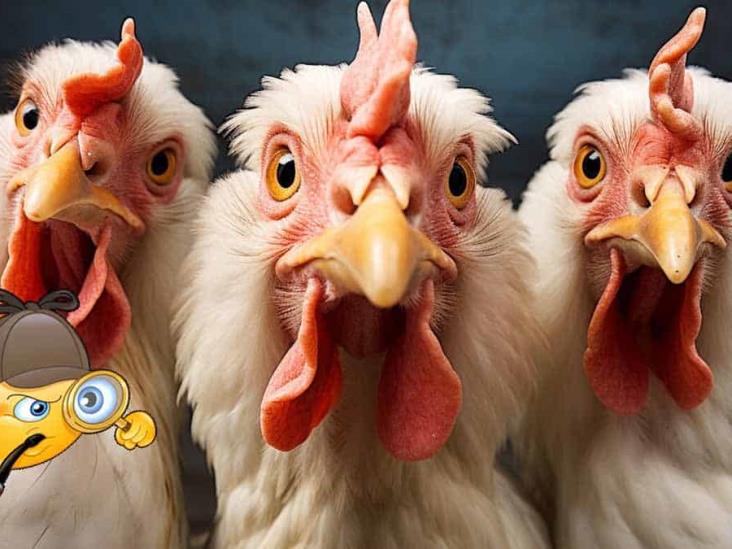 Diario del Yaqui - ¿Cuál es el pollo más nutritivo: el blanco o el ...