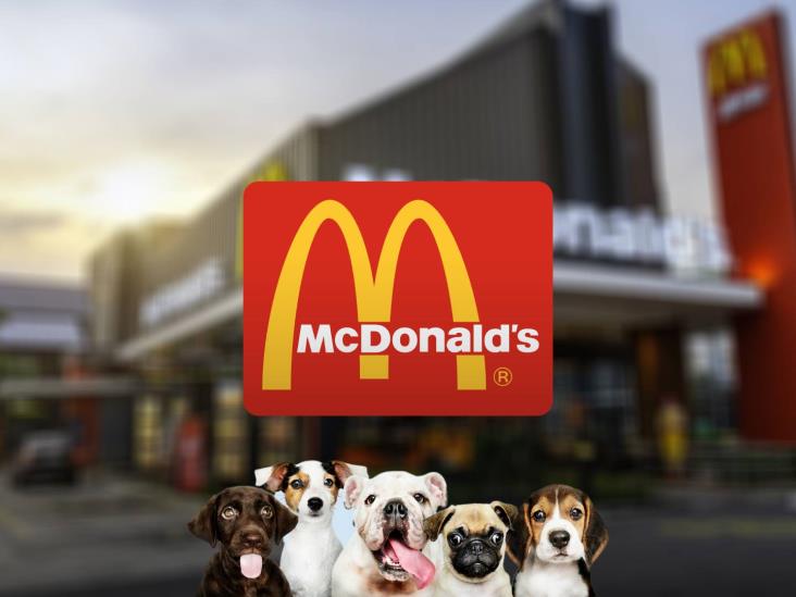 Mcdonalds Es Bueno Para Los Perros