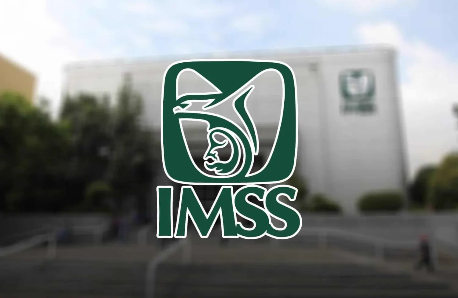 ¿Cómo saber si estoy dado de alta en el IMSS? - Diario del Yaqui